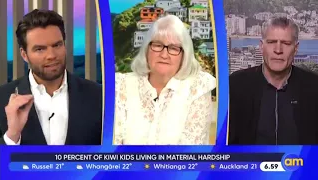 Michael Johnston discusses National promises to National's plan to ...