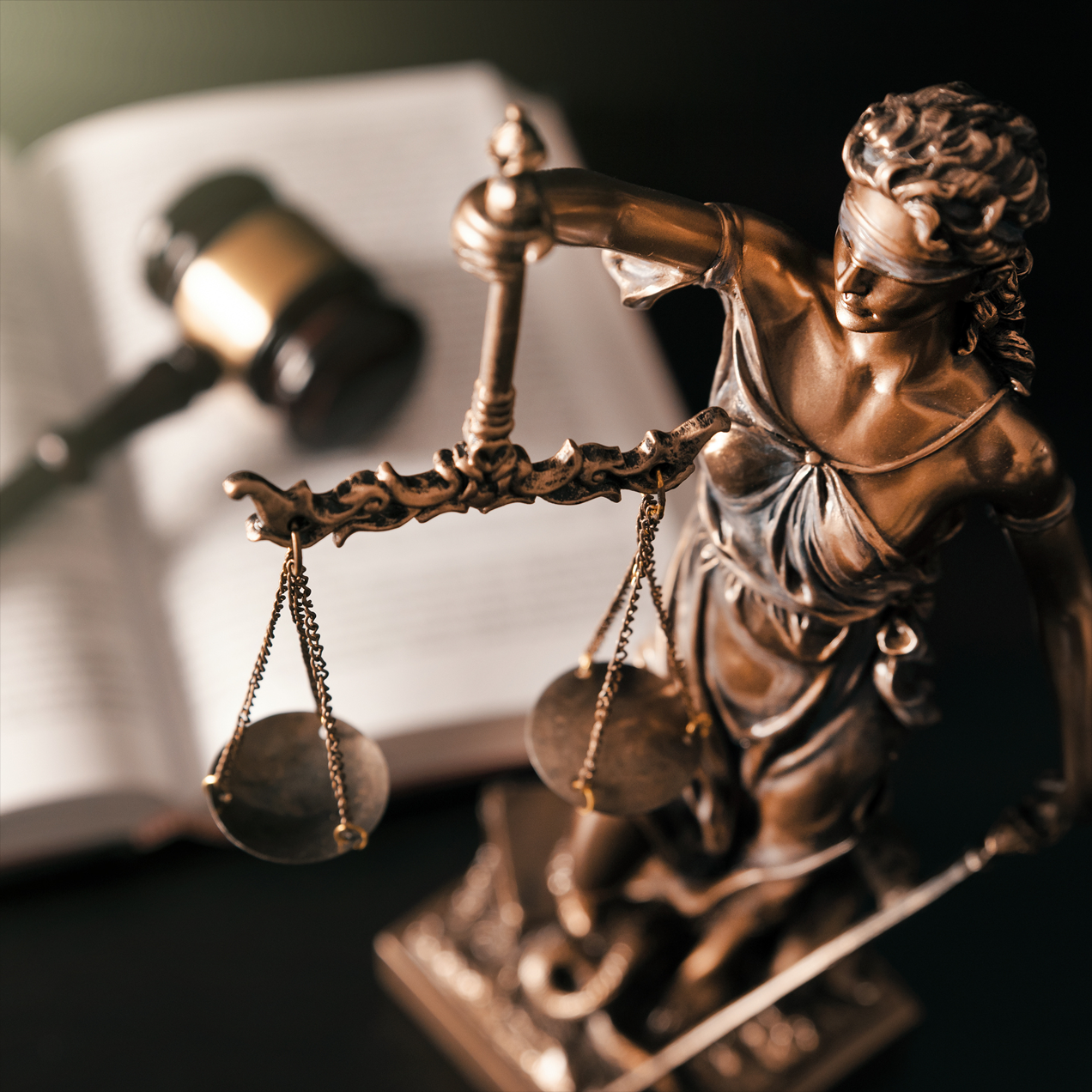 Supreme Court matters: charities law and judicial social engineering ...