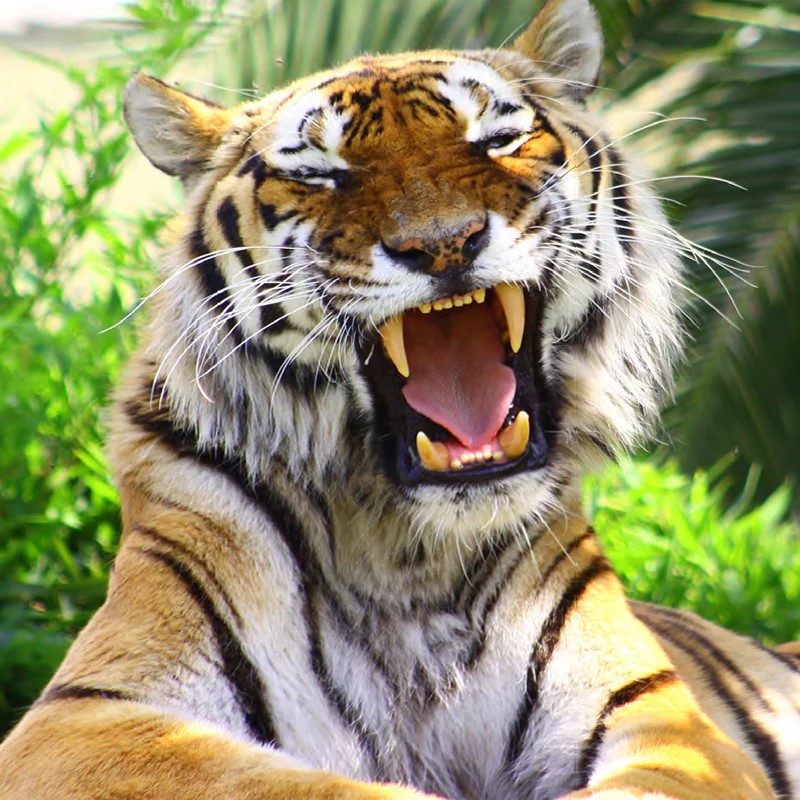 Lessons from the Celtic Tiger | The New Zealand Initiative