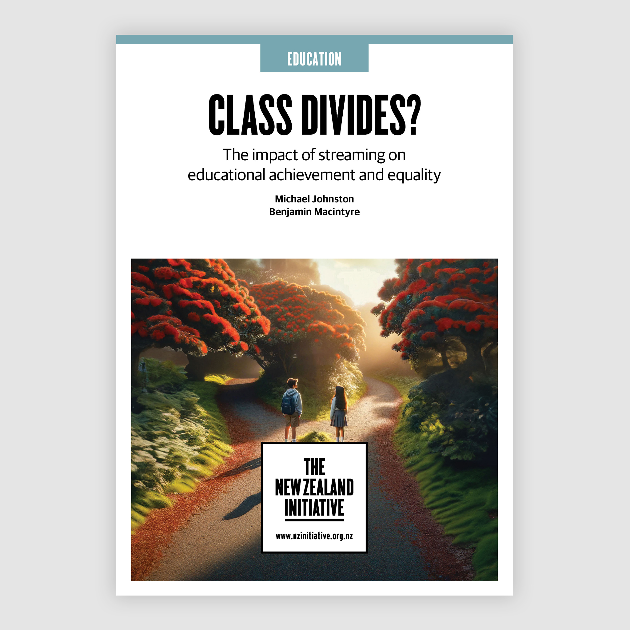 Media Release: Class Divides? The impact of streaming on educational ...