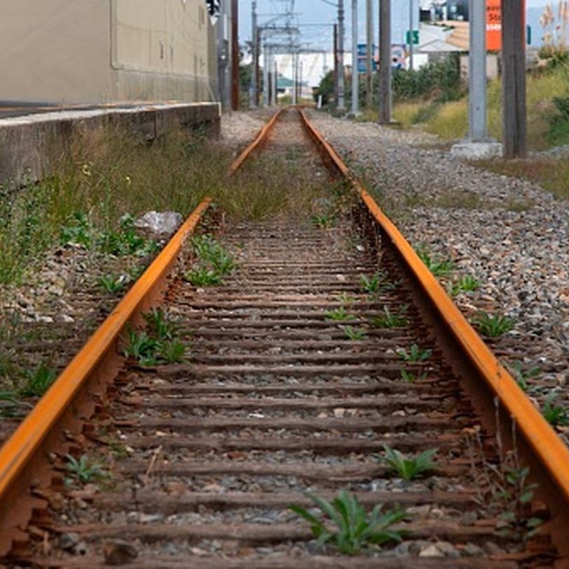 How history can help us build back better | The New Zealand Initiative