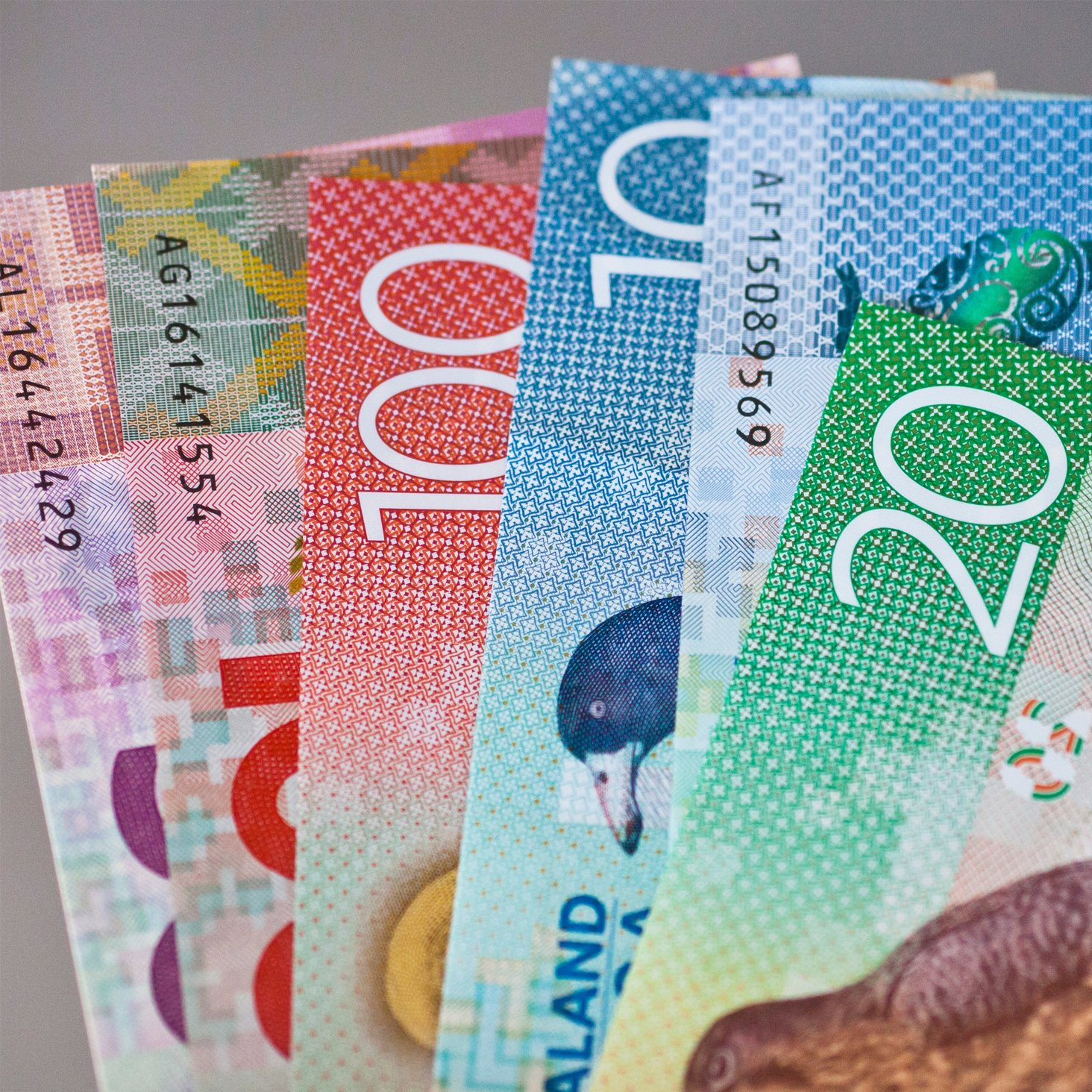 Charting the Budget | The New Zealand Initiative