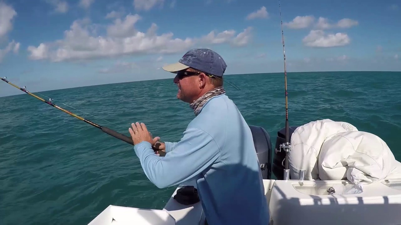 Red snapper in the Gulf of Mexico | The New Zealand Initiative