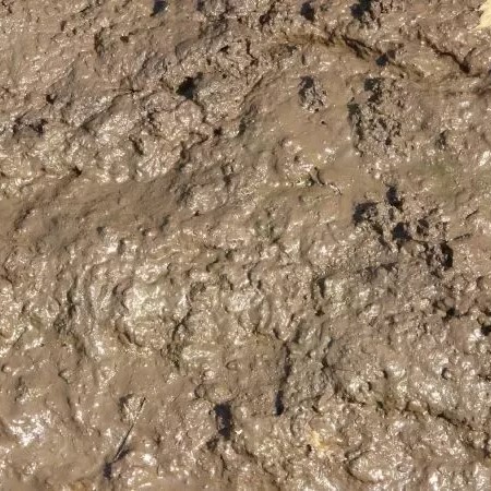 Kiwi diplomacy as clear as mud | The New Zealand Initiative